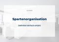 Spartenorganisation » Definition (einfach erklärt)